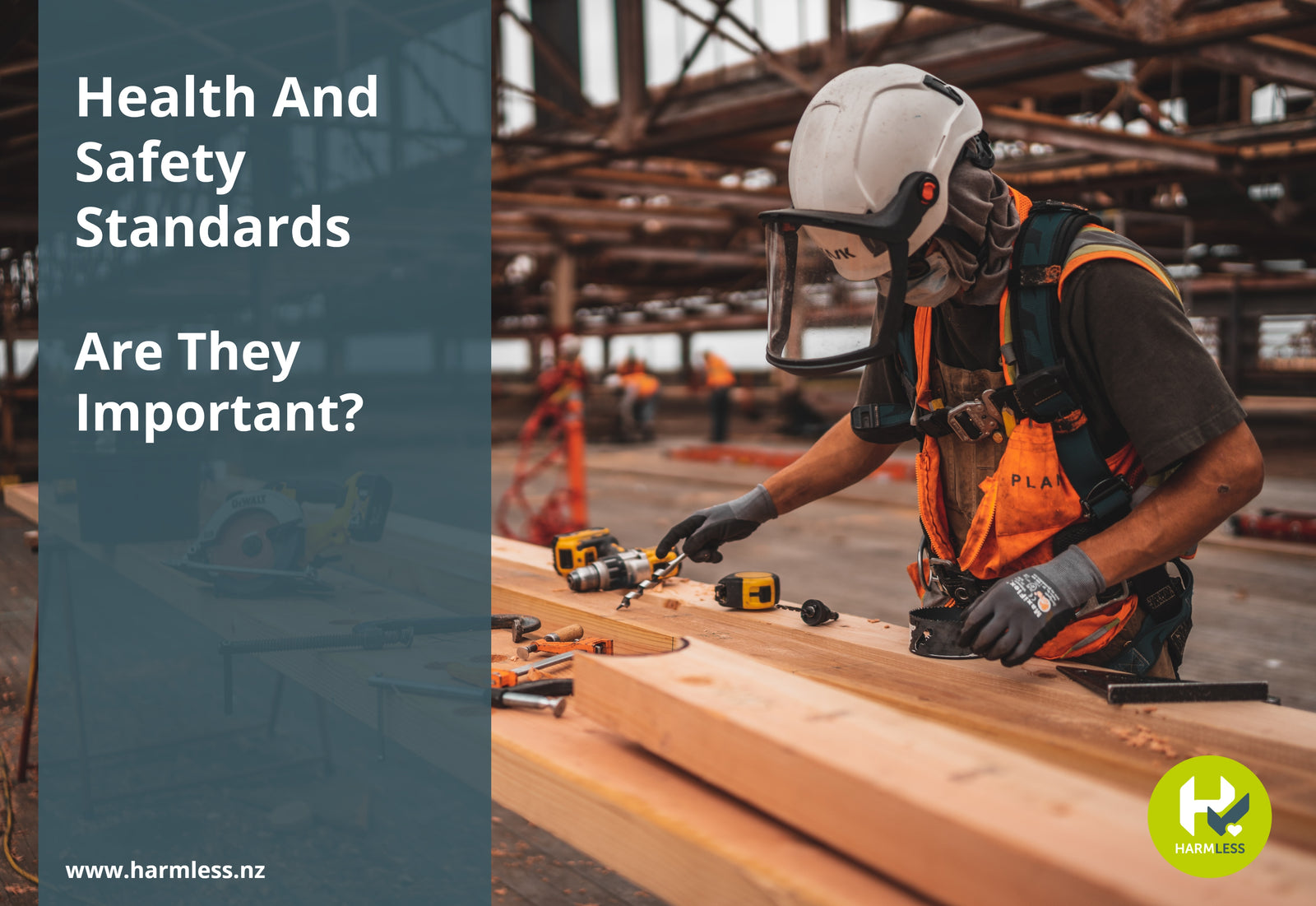 Health and Safety Standards – Are they Important? - HarmLess New Zealand